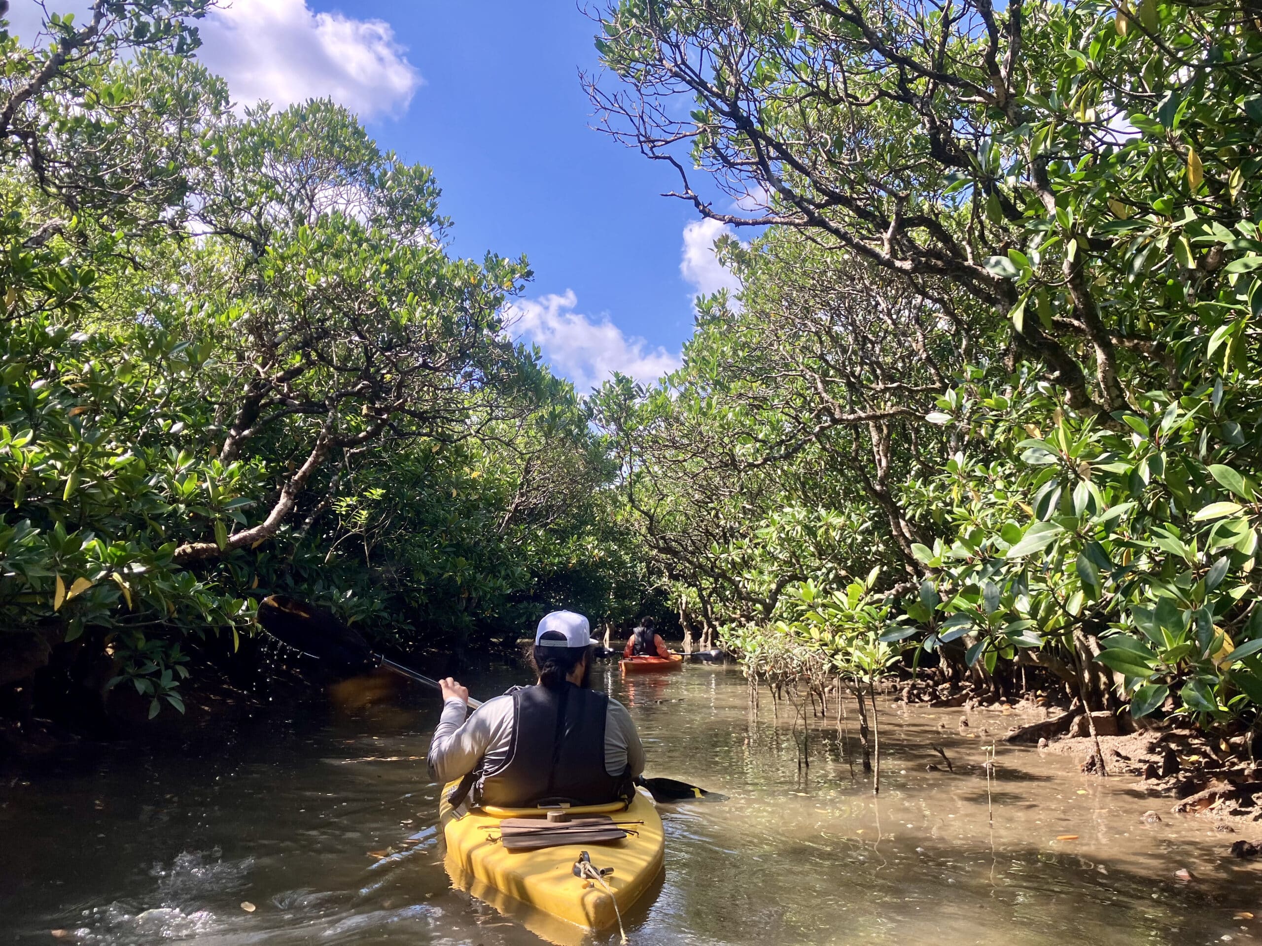 Top-Ranked Nature Tours on April to June - Link Adventures | Amami ...